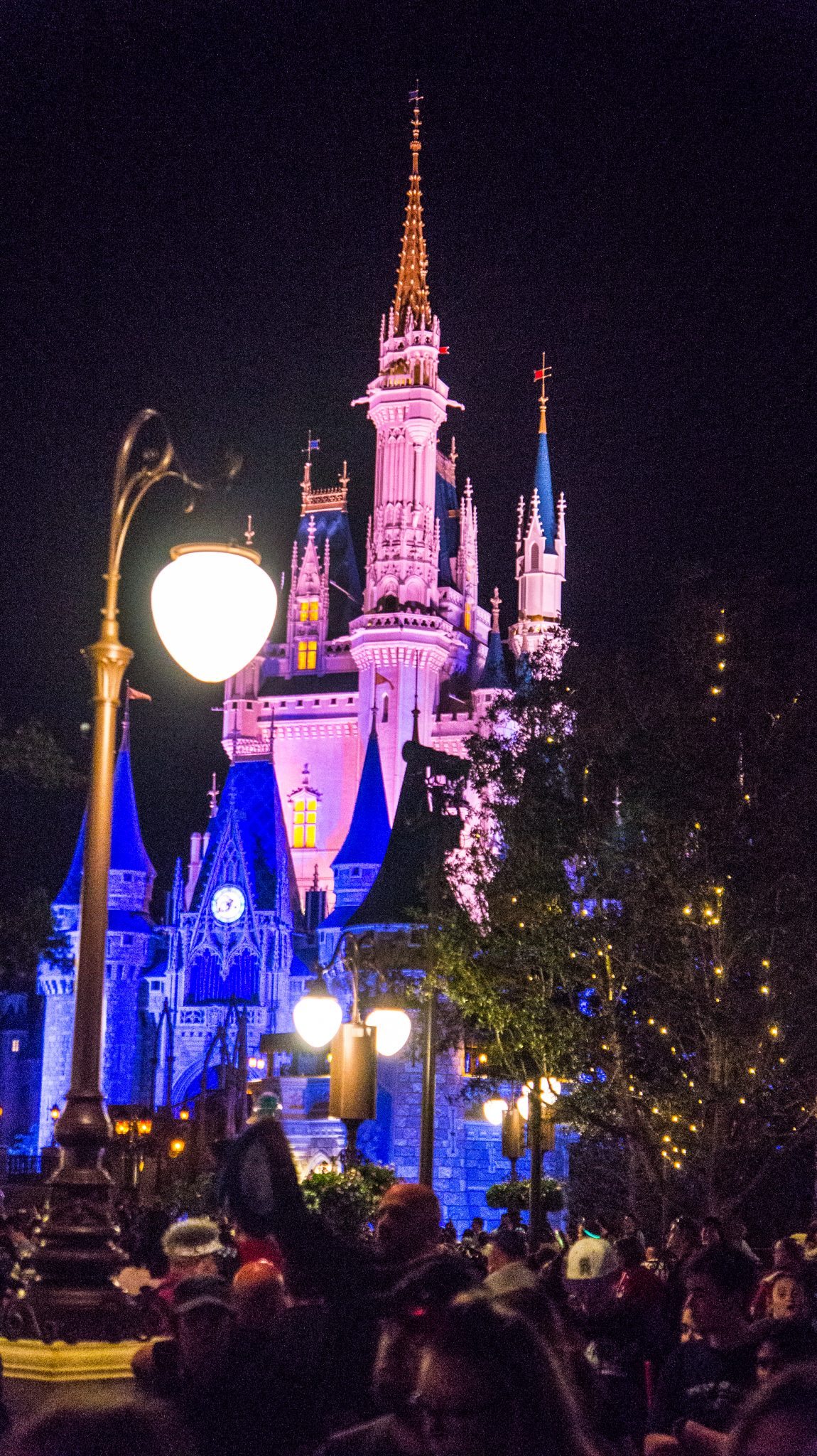 Magic Kingdom Cinderella’s Castle at Night1-26-2017 – RNB: Photo Archives